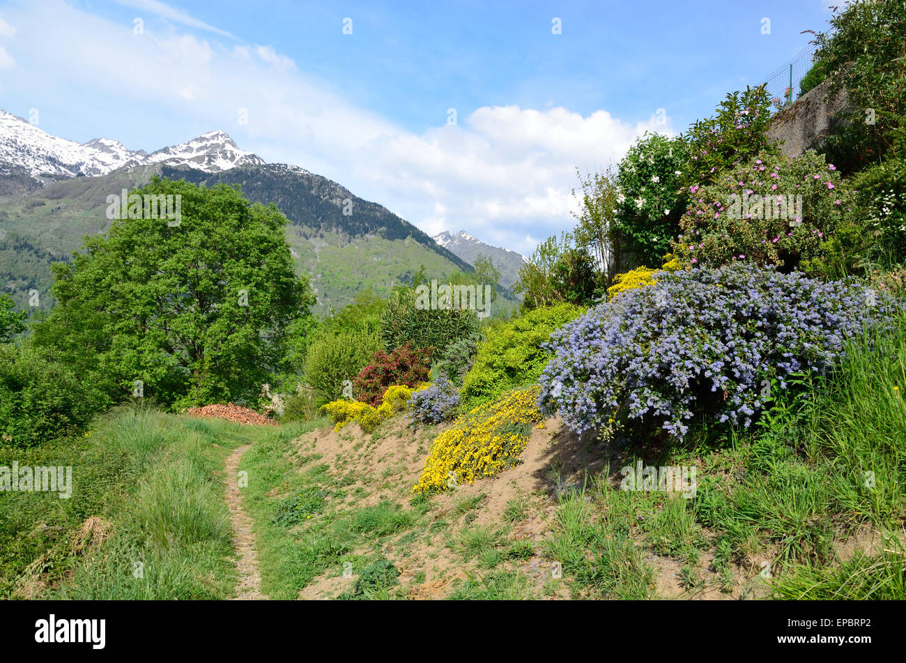 Spring slope in the mountains Stock Photo - Alamy