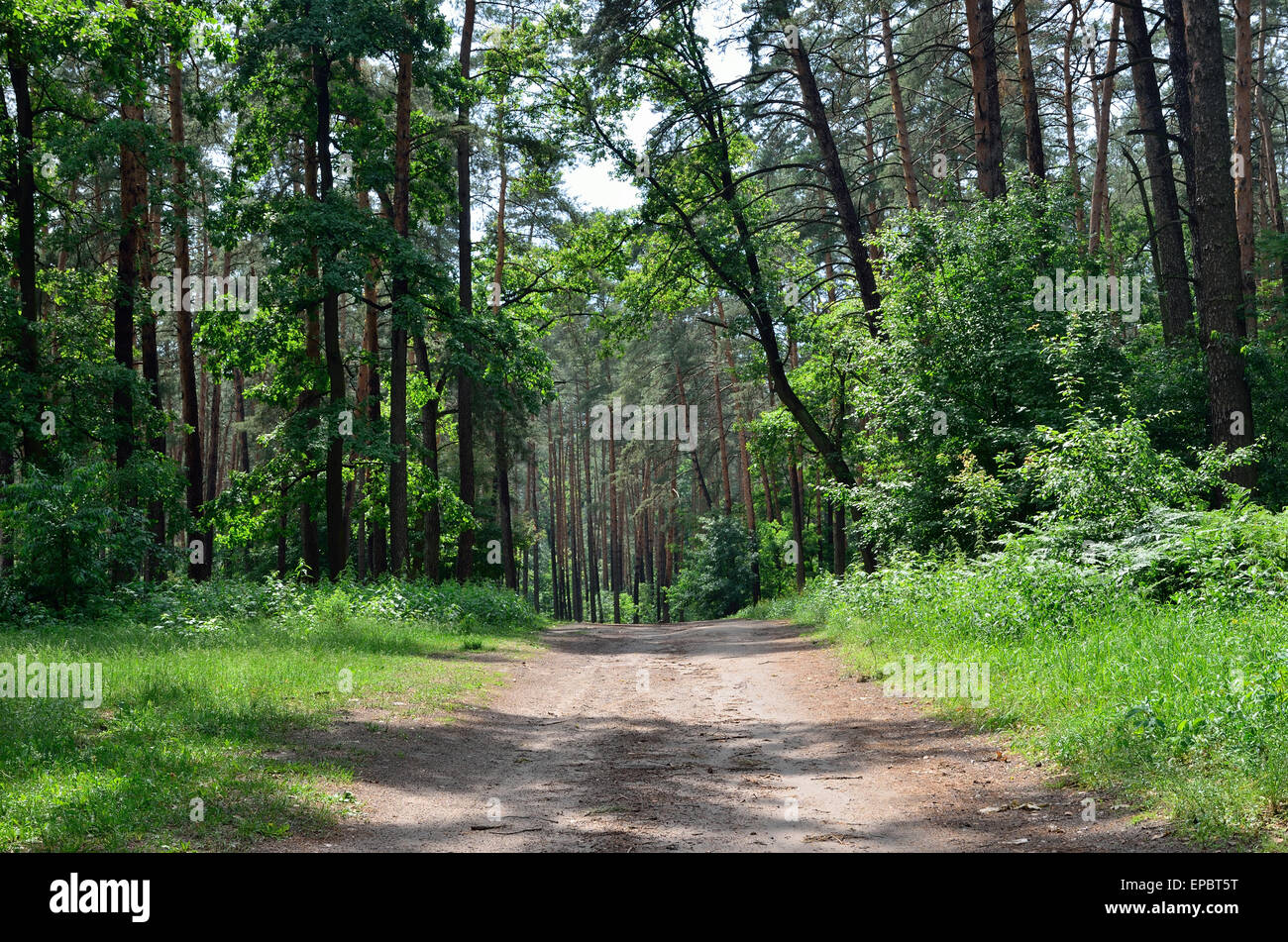 Summer stroll hi-res stock photography and images - Alamy