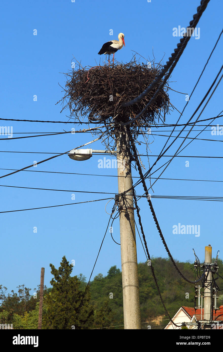 Poppet hi-res stock photography and images - Alamy