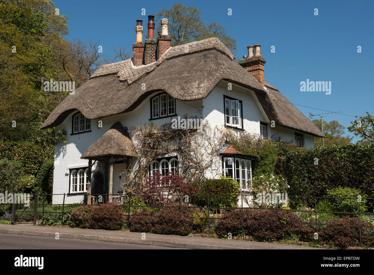 New Forest Thatched Cottage High Resolution Stock Photography and ...