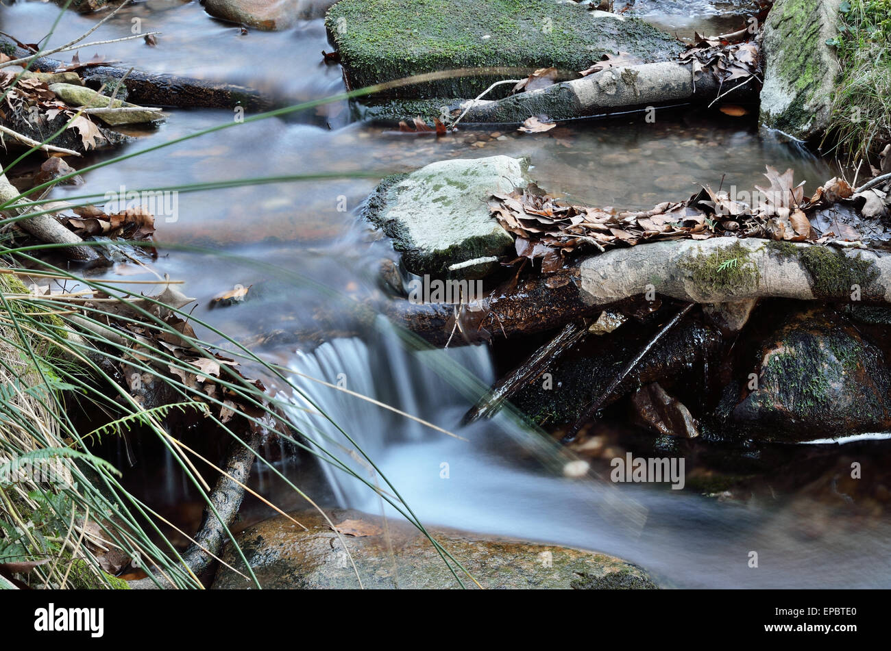 Stream close up hi-res stock photography and images - Alamy