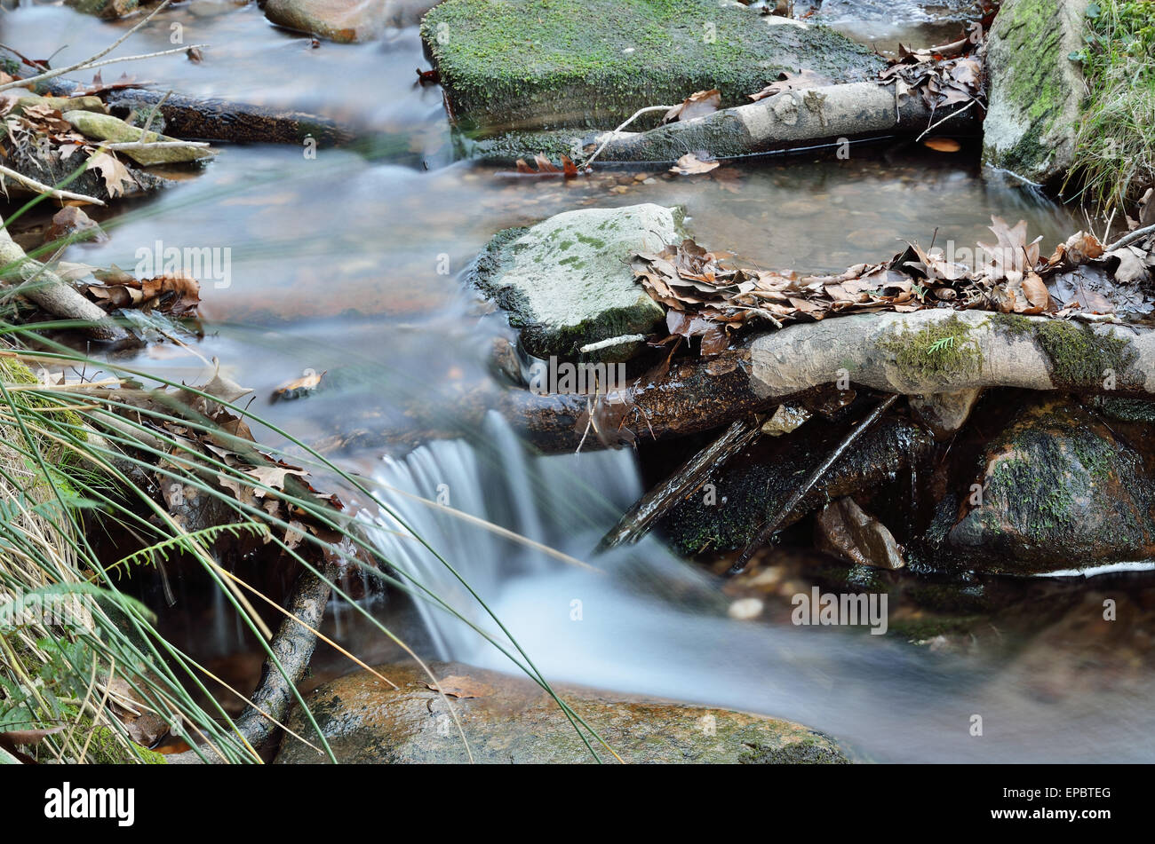 Stream close up hi-res stock photography and images - Alamy
