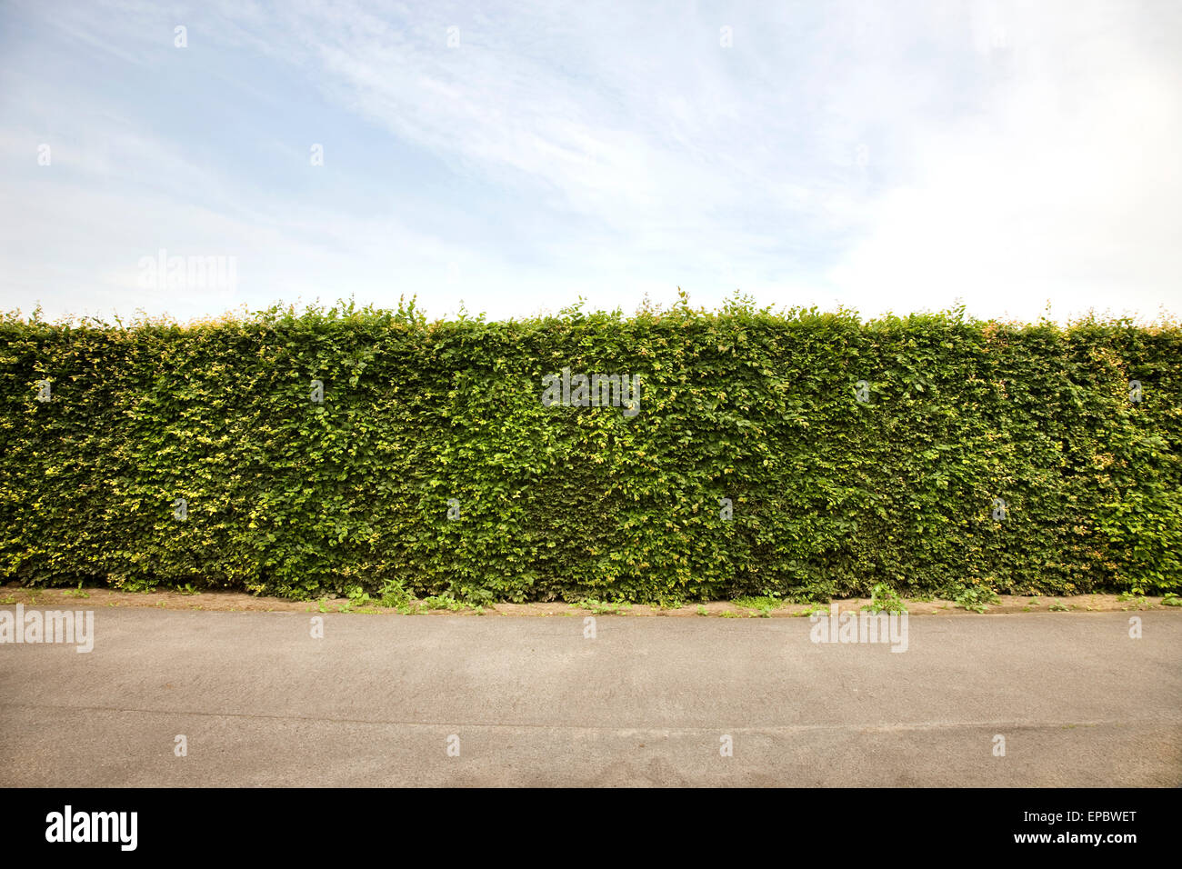 Parking lot hedge hi-res stock photography and images - Alamy