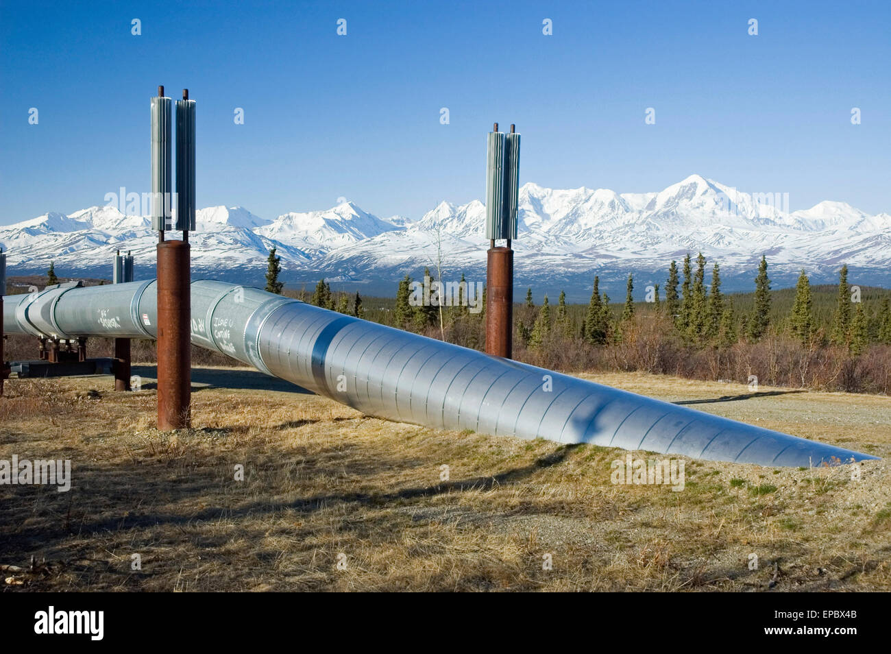 Trans-Alaska Pipeline Along Richardson Highway South Of Delta Junction ...
