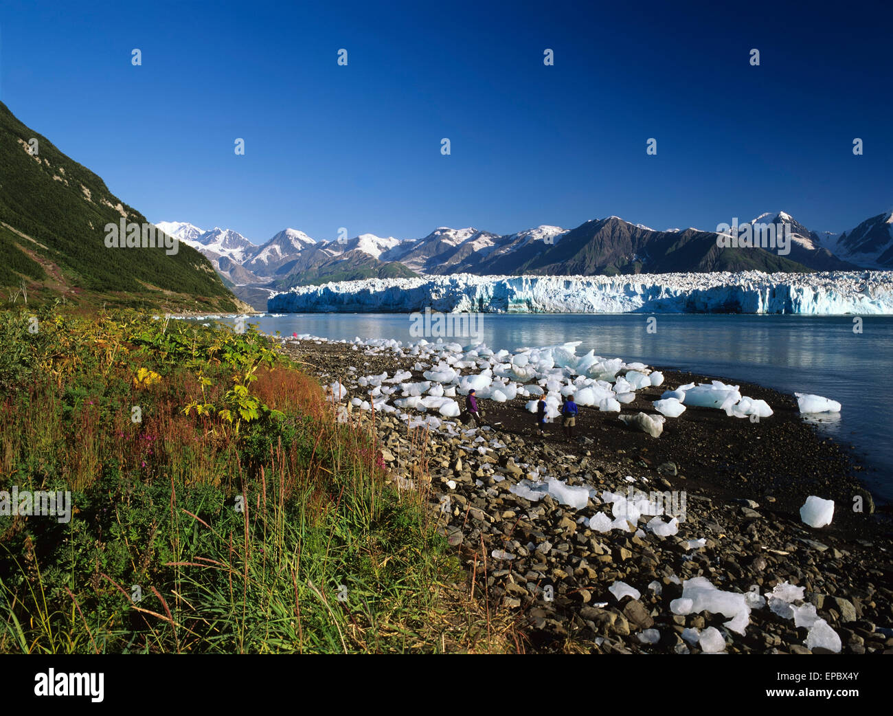 Russell Fjord Wilderness Stock Photos & Russell Fjord Wilderness Stock ...