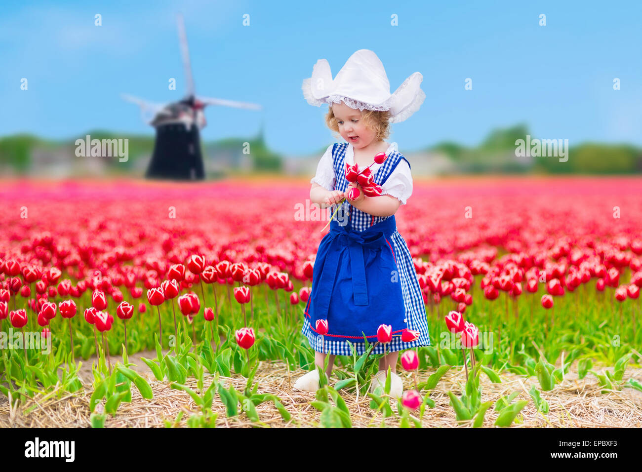 Adorable toddler girl wearing Dutch traditional national costume dress ...