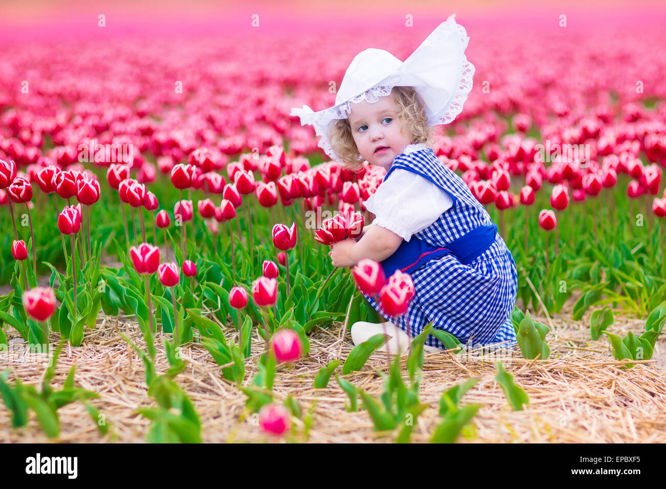 Adorable curly toddler girl wearing Dutch traditional national costume ...