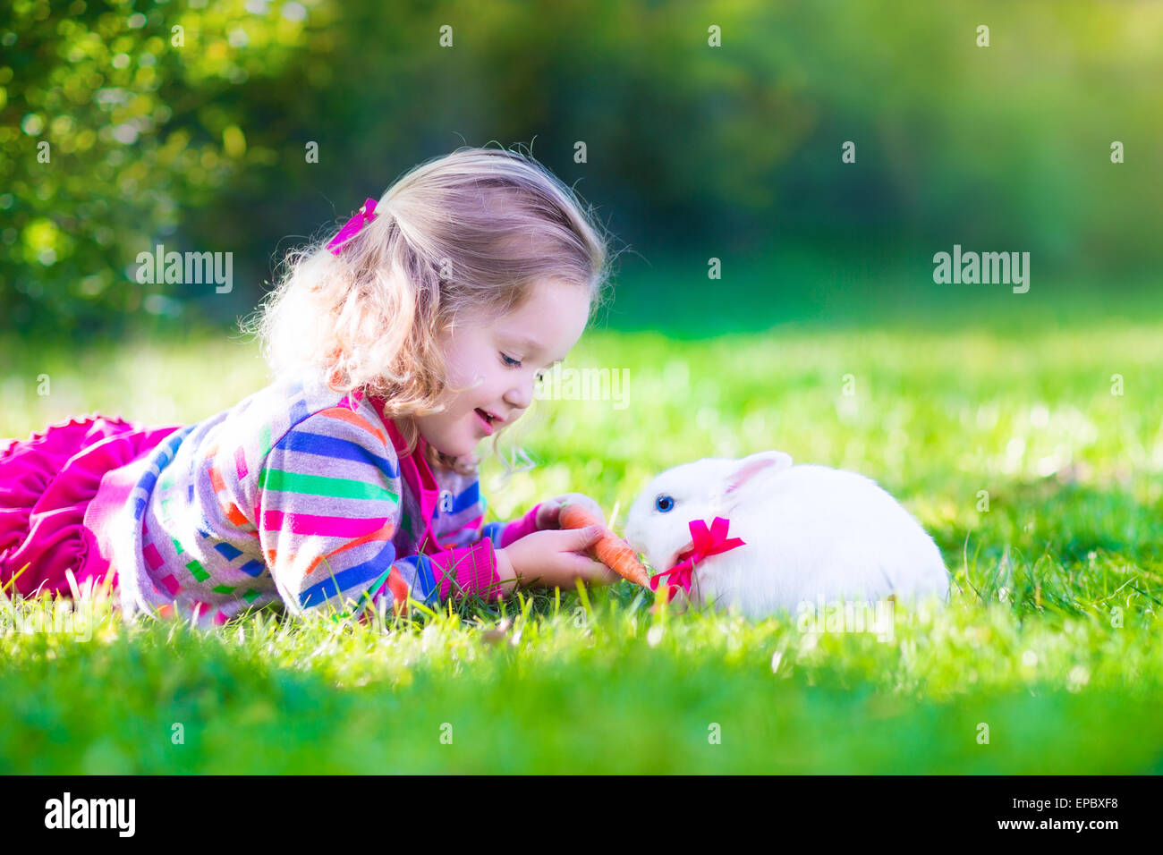 Child feeding rabbit hi-res stock photography and images - Alamy