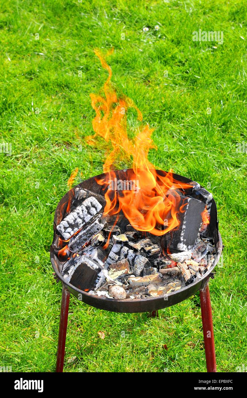 Barbecue fire against green grass background Stock Photo - Alamy