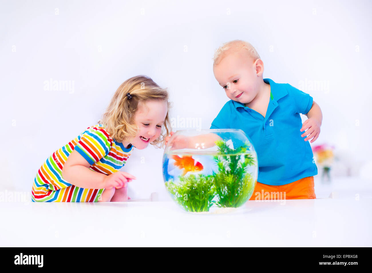 Child feeding fish in aquarium hi-res stock photography and images - Alamy