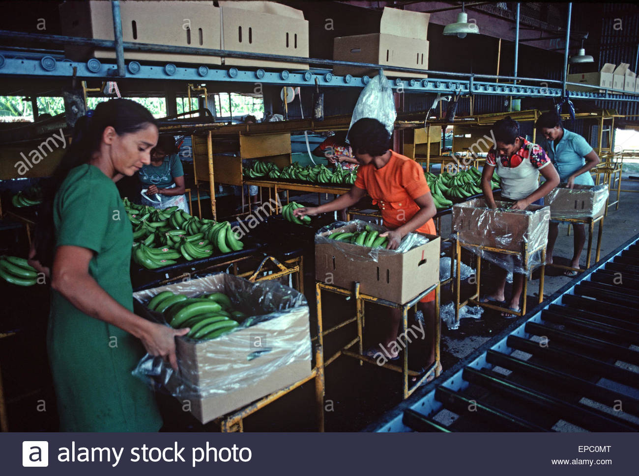 Honduras Bananas High Resolution Stock Photography and Images - Alamy