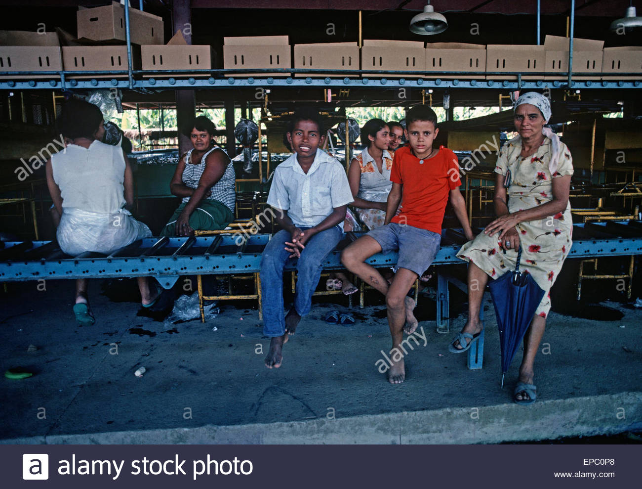 Honduras Bananas High Resolution Stock Photography and Images - Alamy