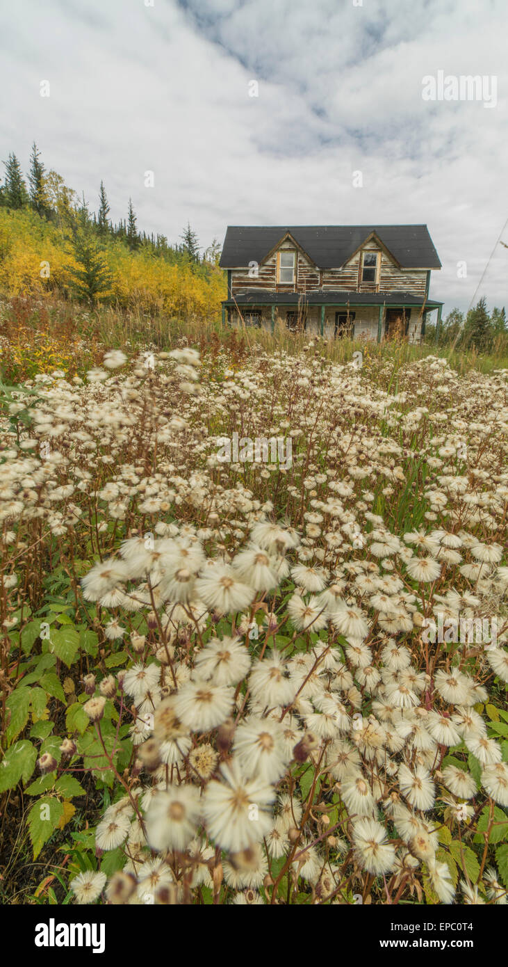 An old abandoned house in historic Rampart House settlement; Old Crow ...