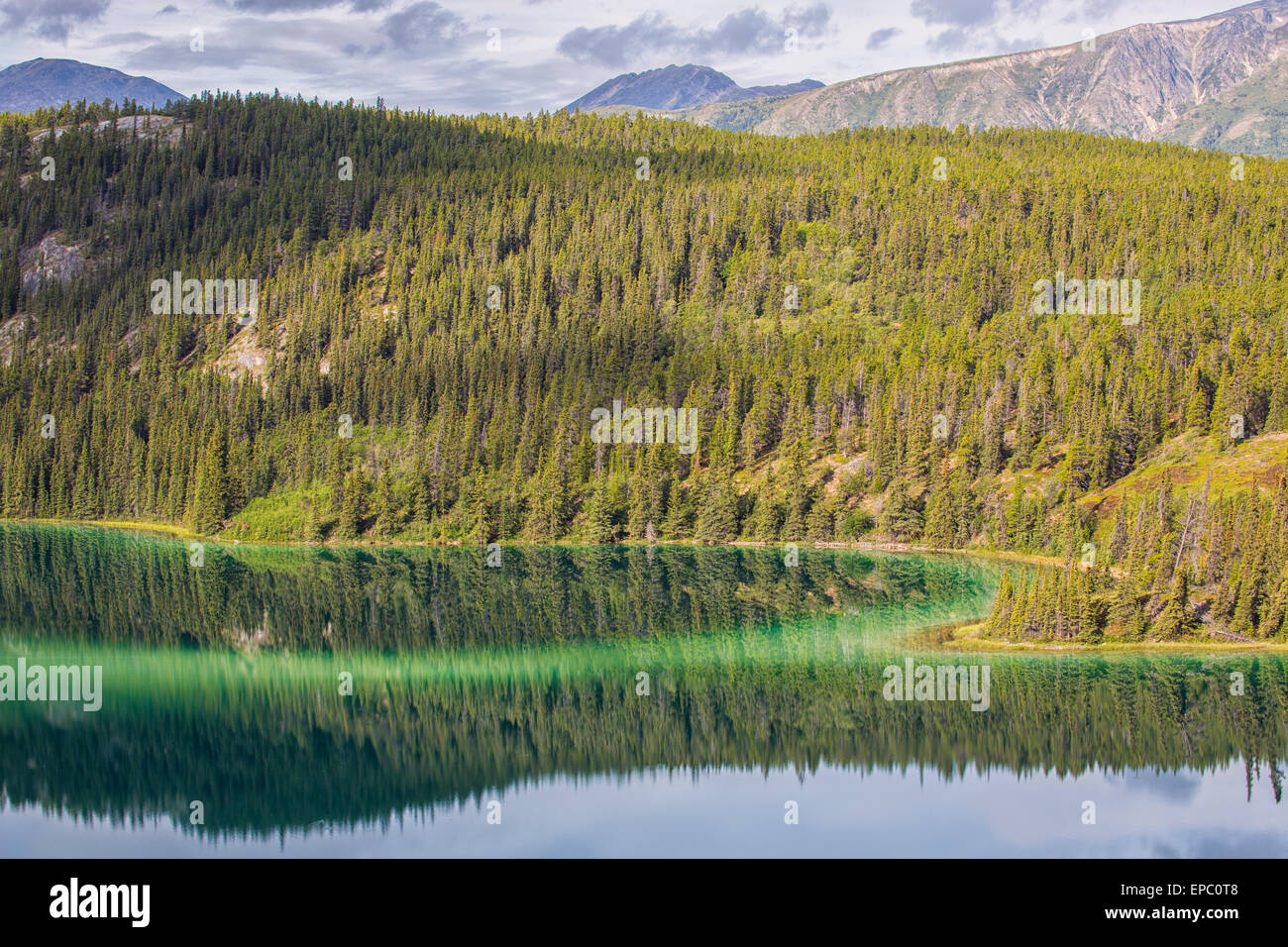 Emerald Lake near Carcross; Yukon, Canada Stock Photo - Alamy