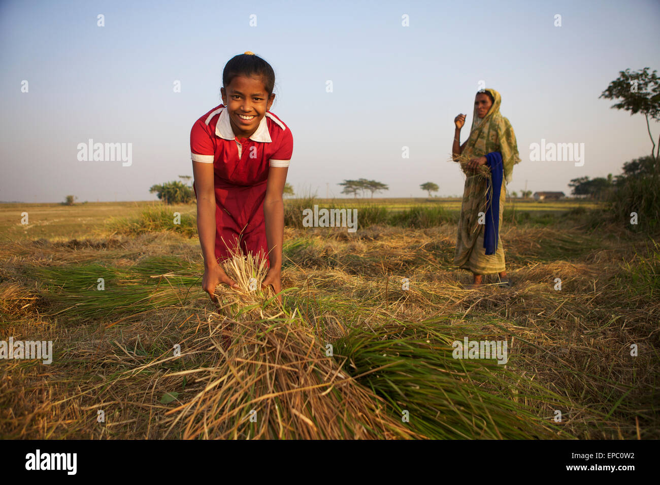 Young boy helping on the farm; Sunamganj, Bangladesh Stock Photo - Alamy