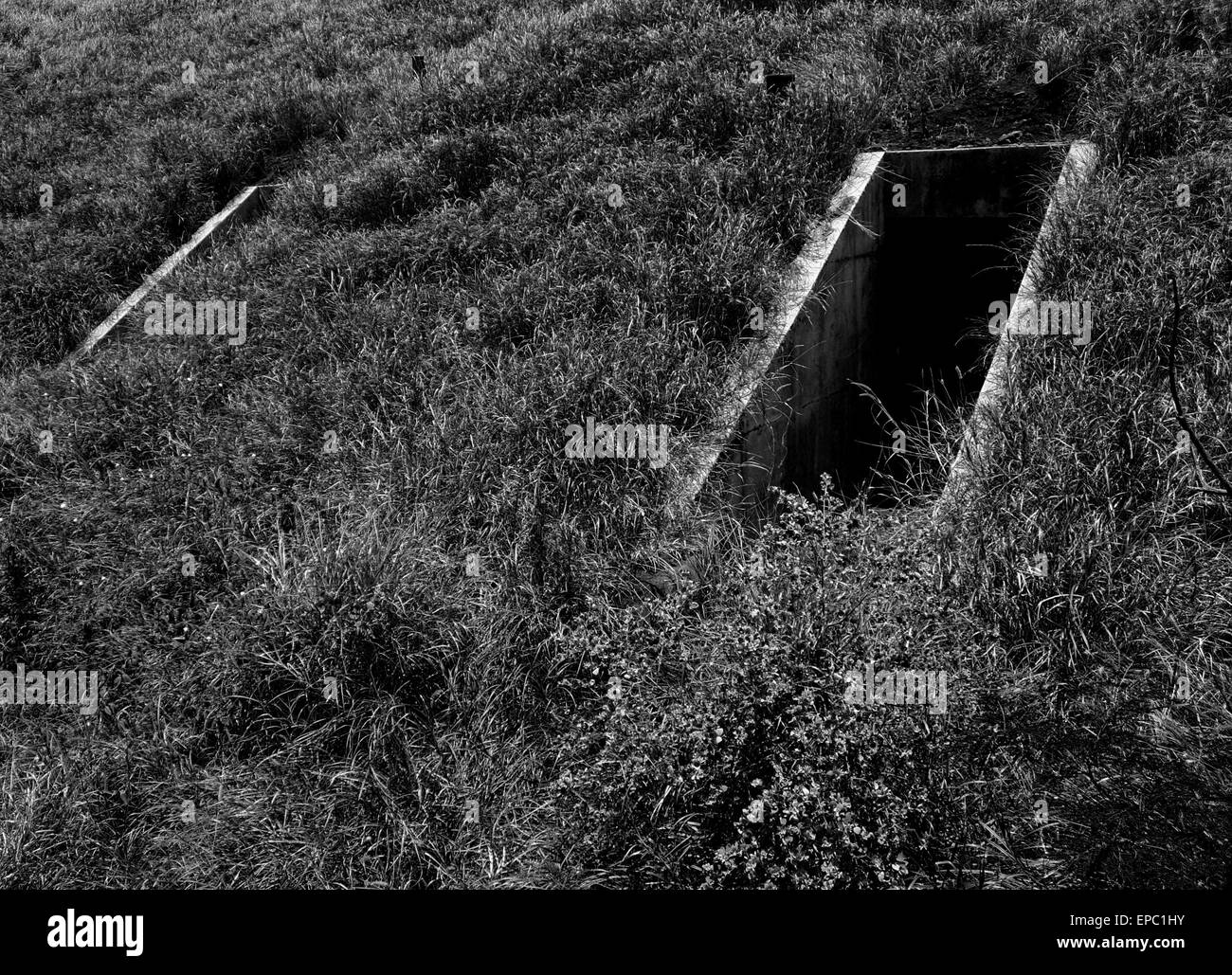 Entrances to WW-II ammo bunkers at an abandoned airfield on Maui ...