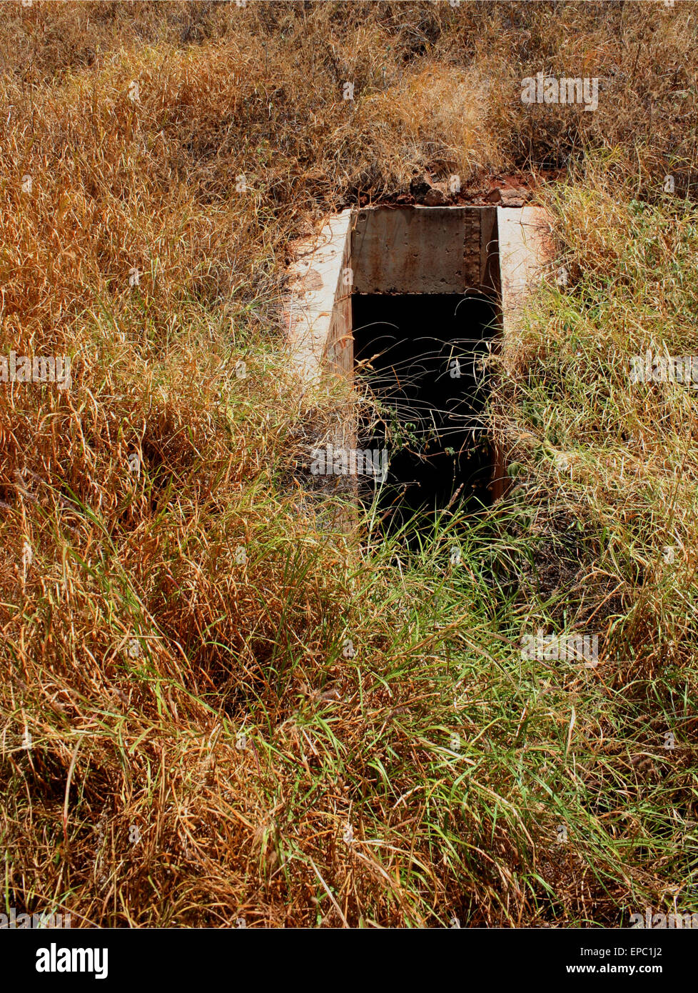 Entrance to a WW-II ammo bunker in Maui, Hawaii Stock Photo - Alamy