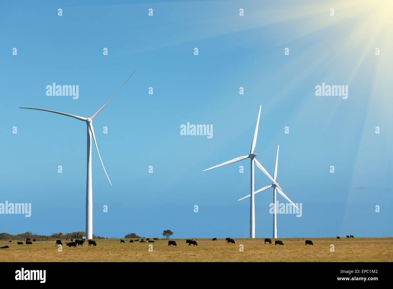 Three Windmills - Clean Energy production, Victoria, Australia Stock ...