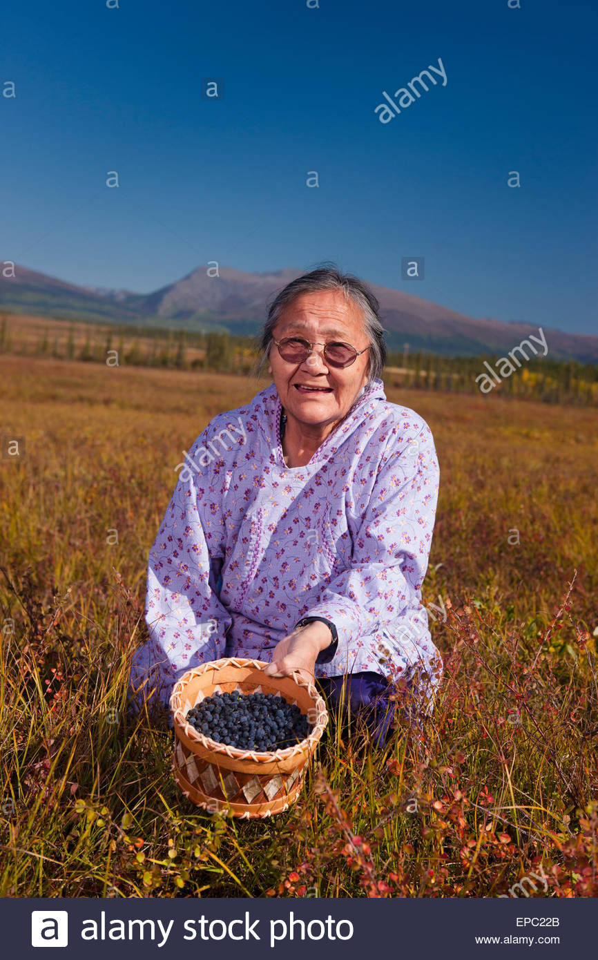 Berry Picking Tundra Stock Photos & Berry Picking Tundra Stock Images ...