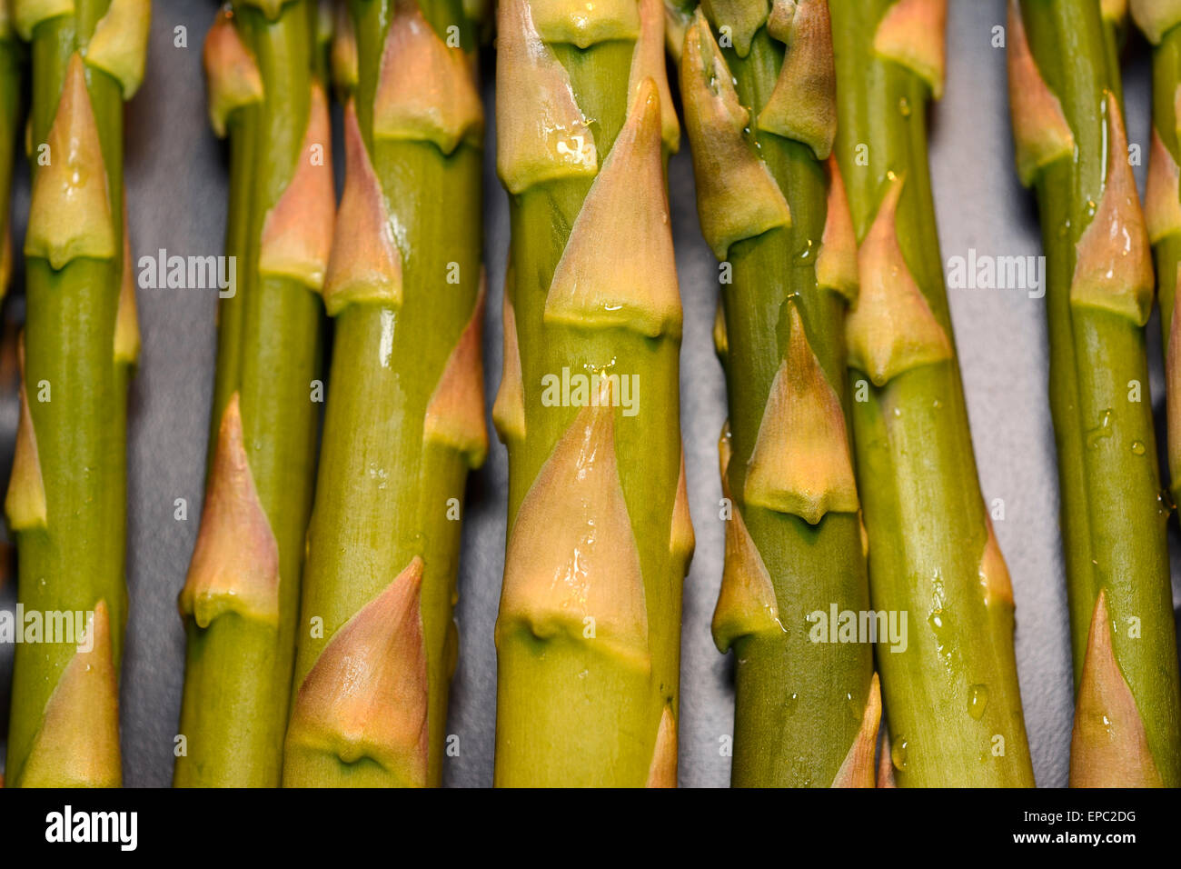 Sprout stalks hi-res stock photography and images - Alamy