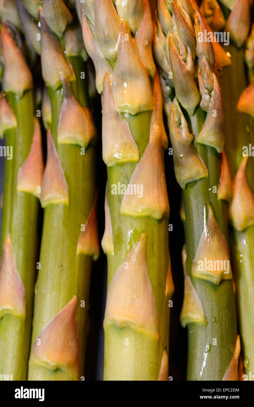 Fresh green stalks hi-res stock photography and images - Alamy
