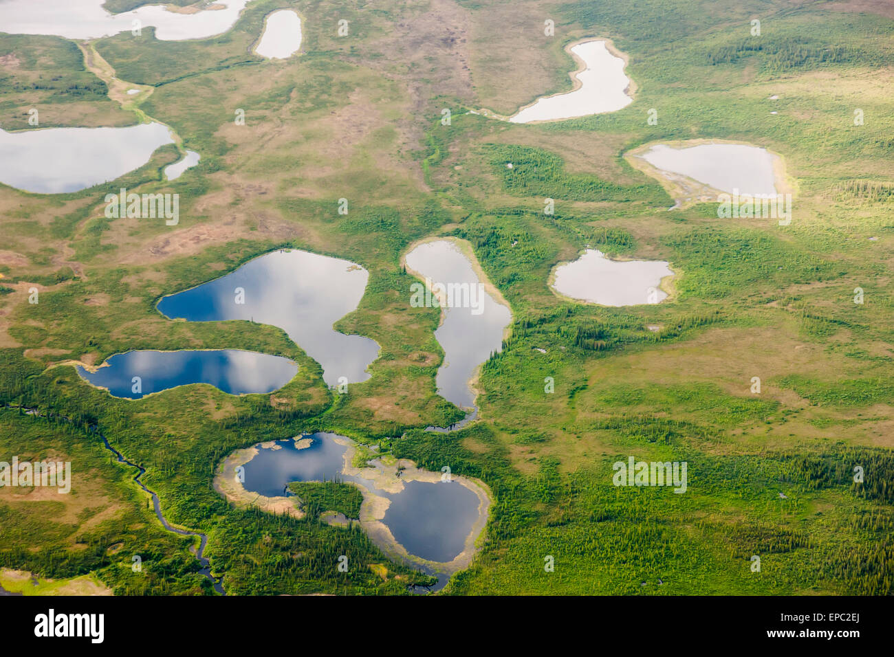 Aerial view of green tundra, small lakes and streams, Arctic Alaska ...