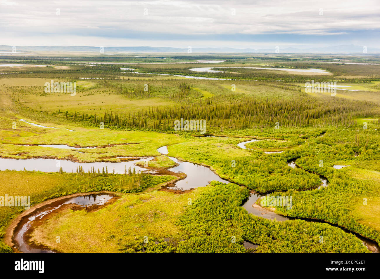 Aerial view of green tundra, wetlands, small lakes and streams, Arctic ...