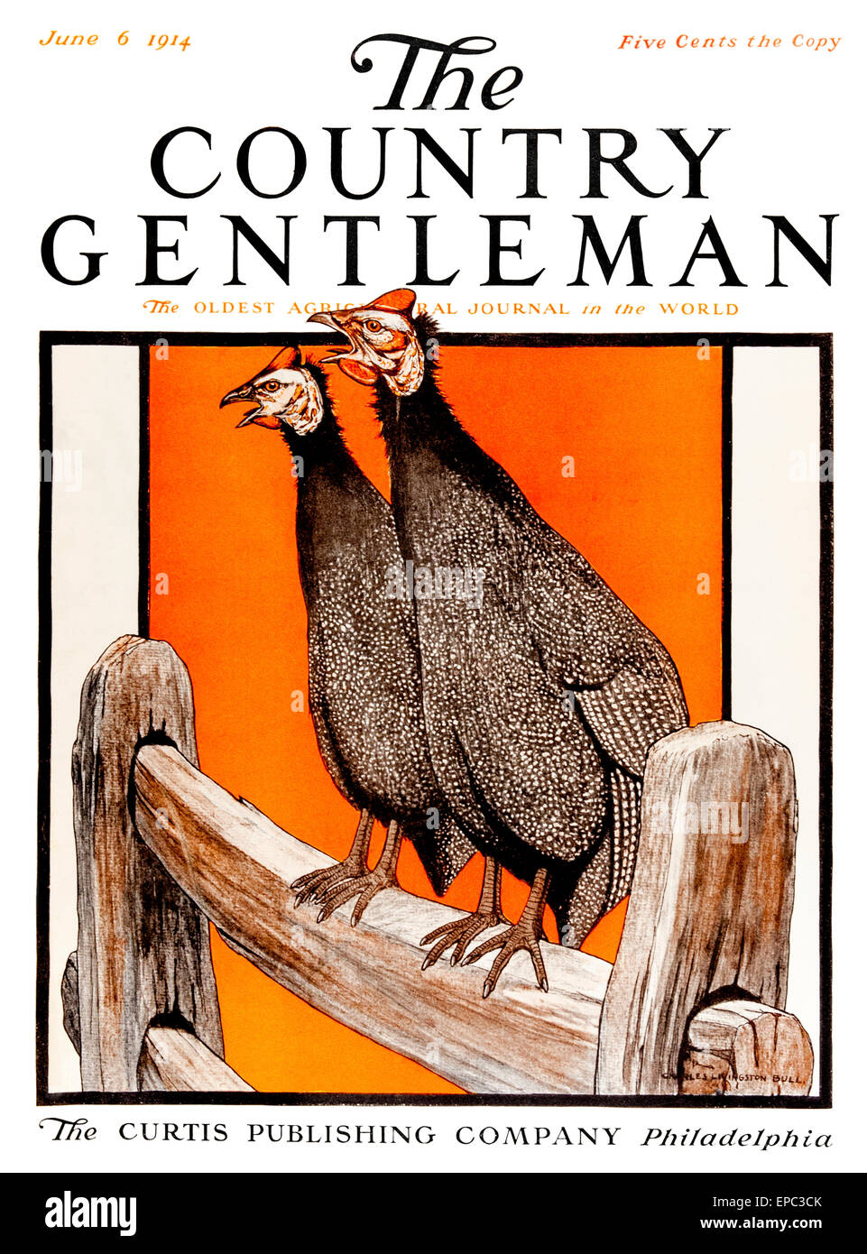 Country gentleman cover hi-res stock photography and images - Alamy