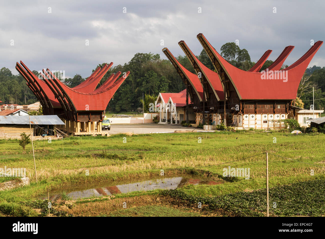 Tongkonan, traditional Torajan ancestral houses in Bori, Toraja Land ...