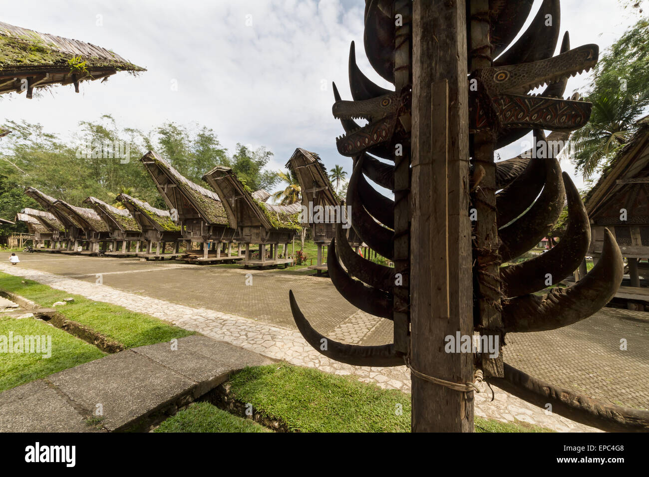 Tongkonan, traditional Torajan ancestral houses in Kete Kesu, Toraja ...