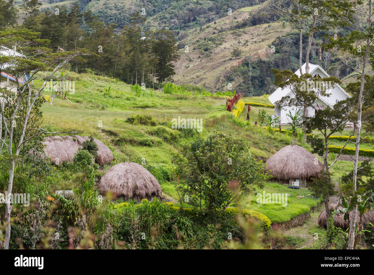 Honai papua hi-res stock photography and images - Alamy