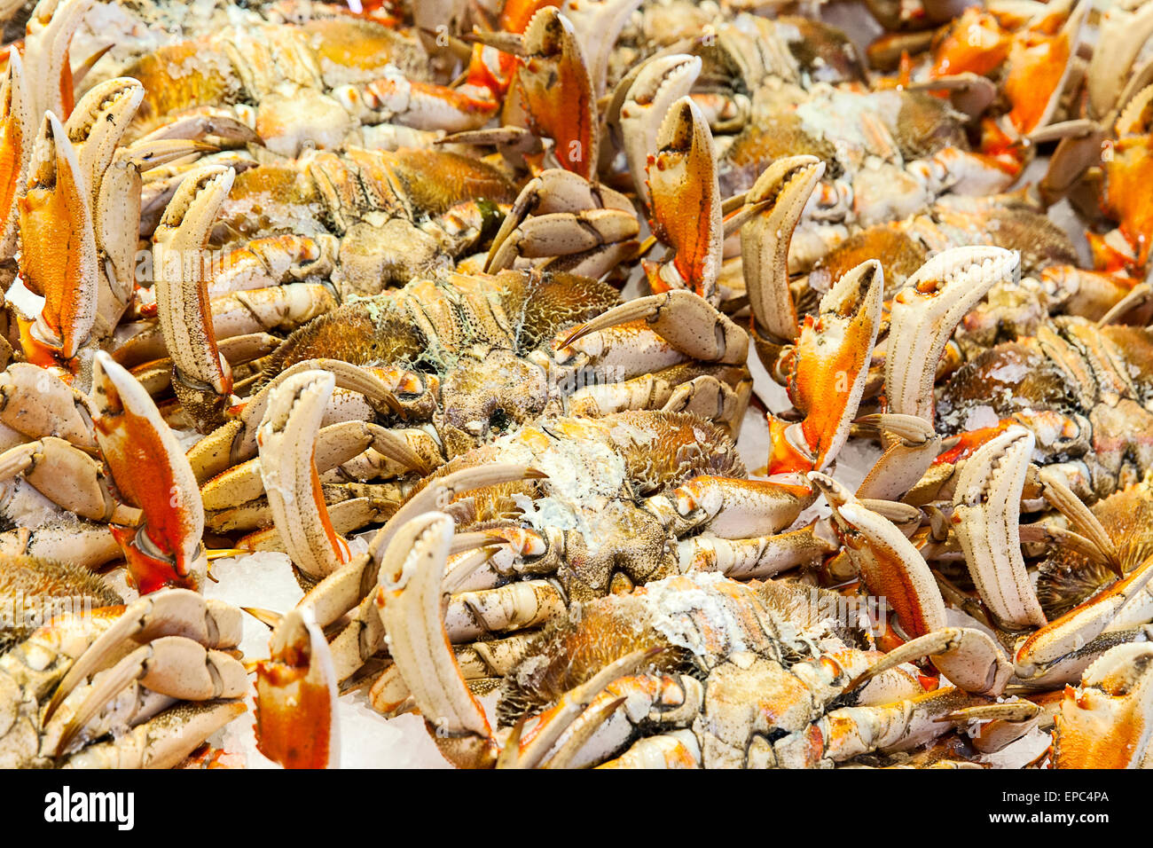 Cooked Crab At Market Stock Photo - Alamy
