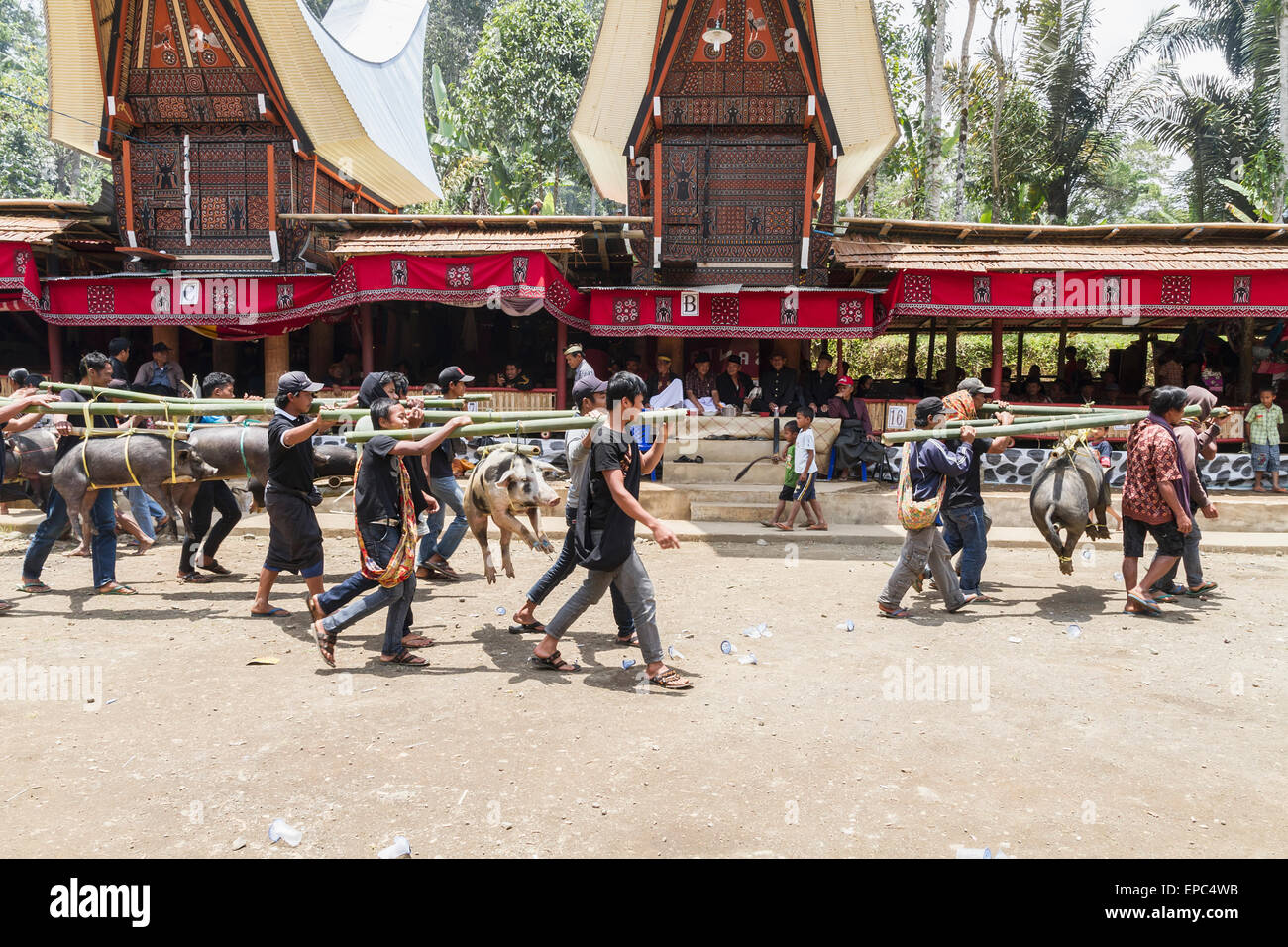 Animism hi-res stock photography and images - Alamy