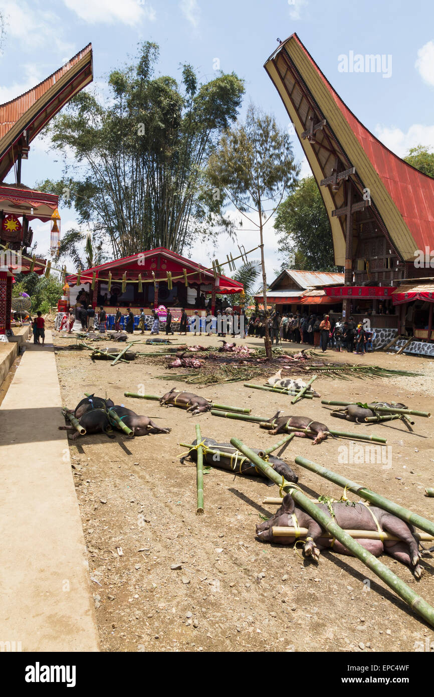 Spirituality beliefs hi-res stock photography and images - Alamy