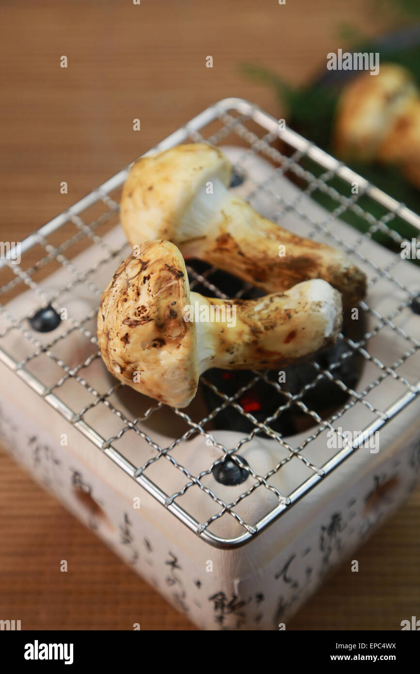 Matsutake hi-res stock photography and images - Alamy