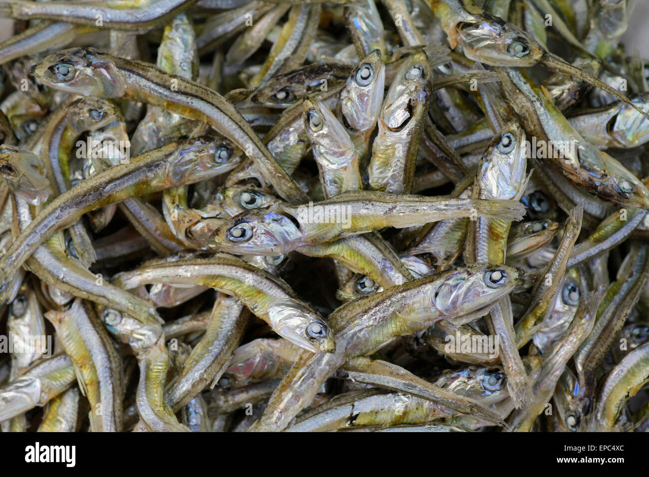 Dried small sardine hi-res stock photography and images - Alamy