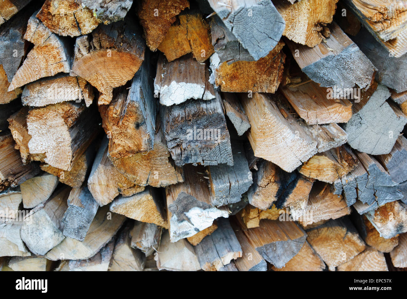 the split logs are used for fire cultivation Stock Photo - Alamy