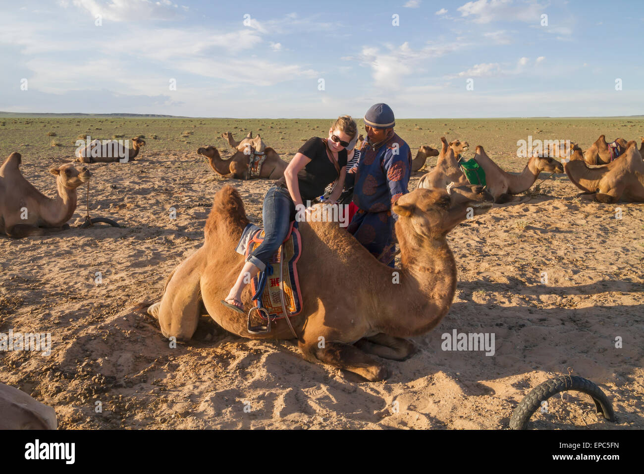 Bactrianus hi-res stock photography and images - Alamy
