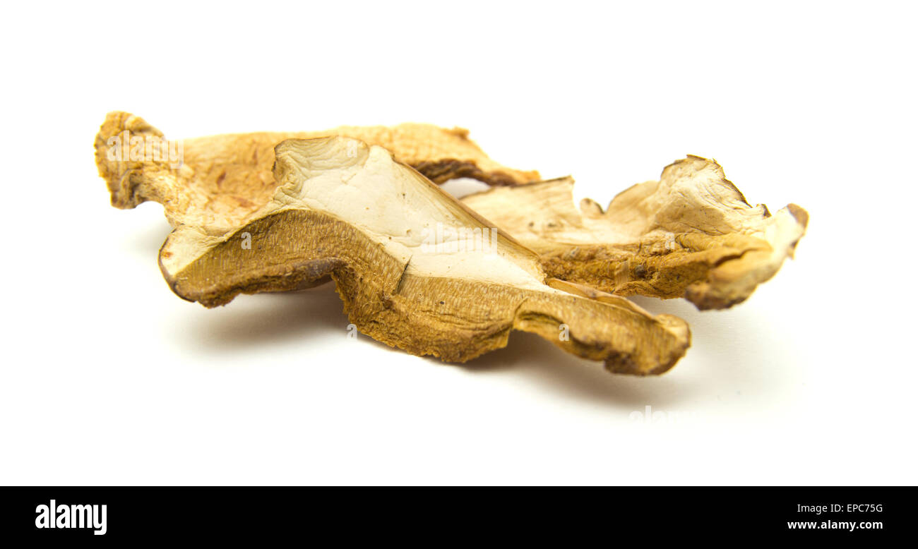 Closeup dried mushroom slices Cut Out Stock Images & Pictures - Alamy