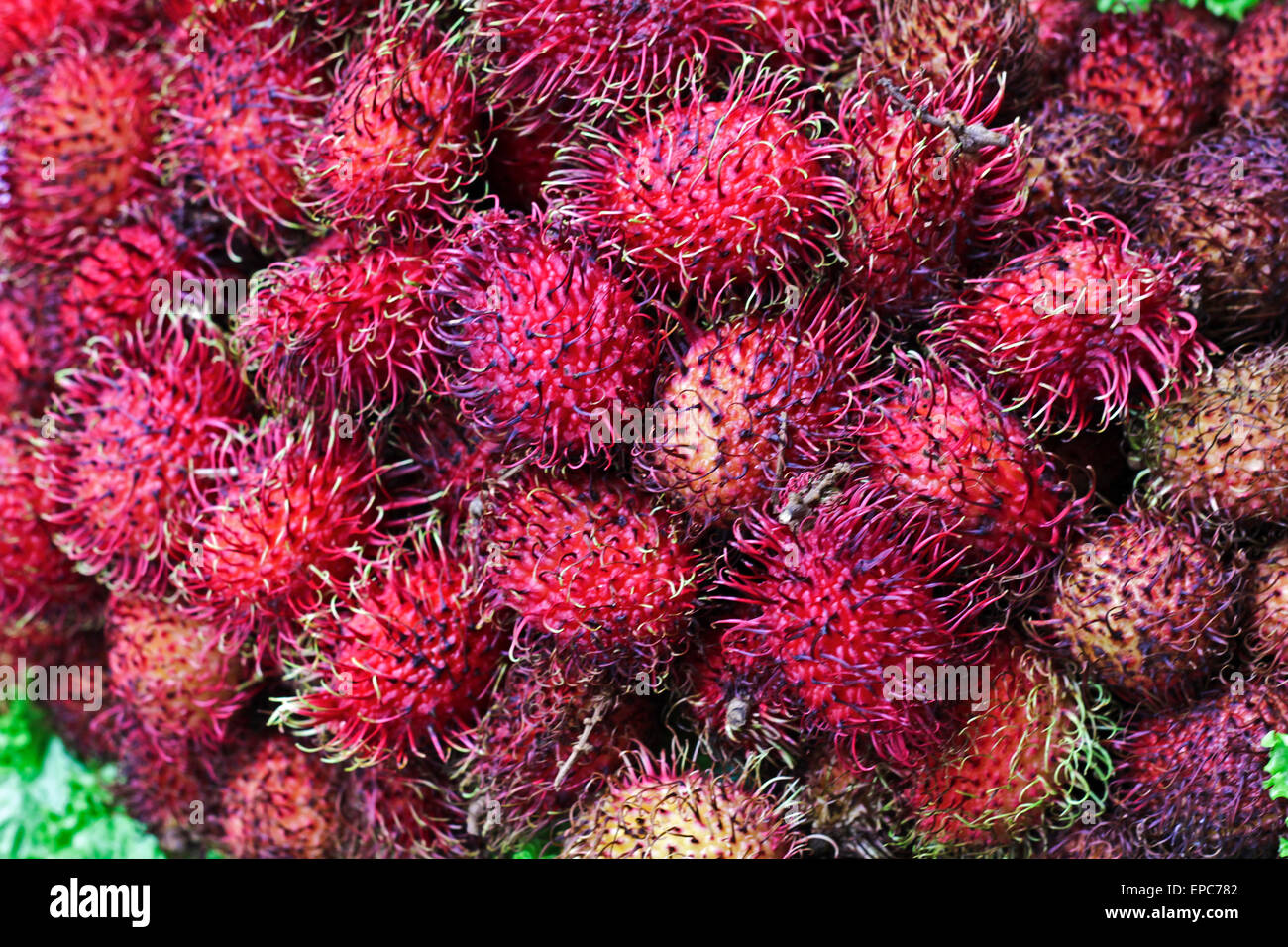 Exotic fruit Lychee exposed in the Market Stock Photo - Alamy