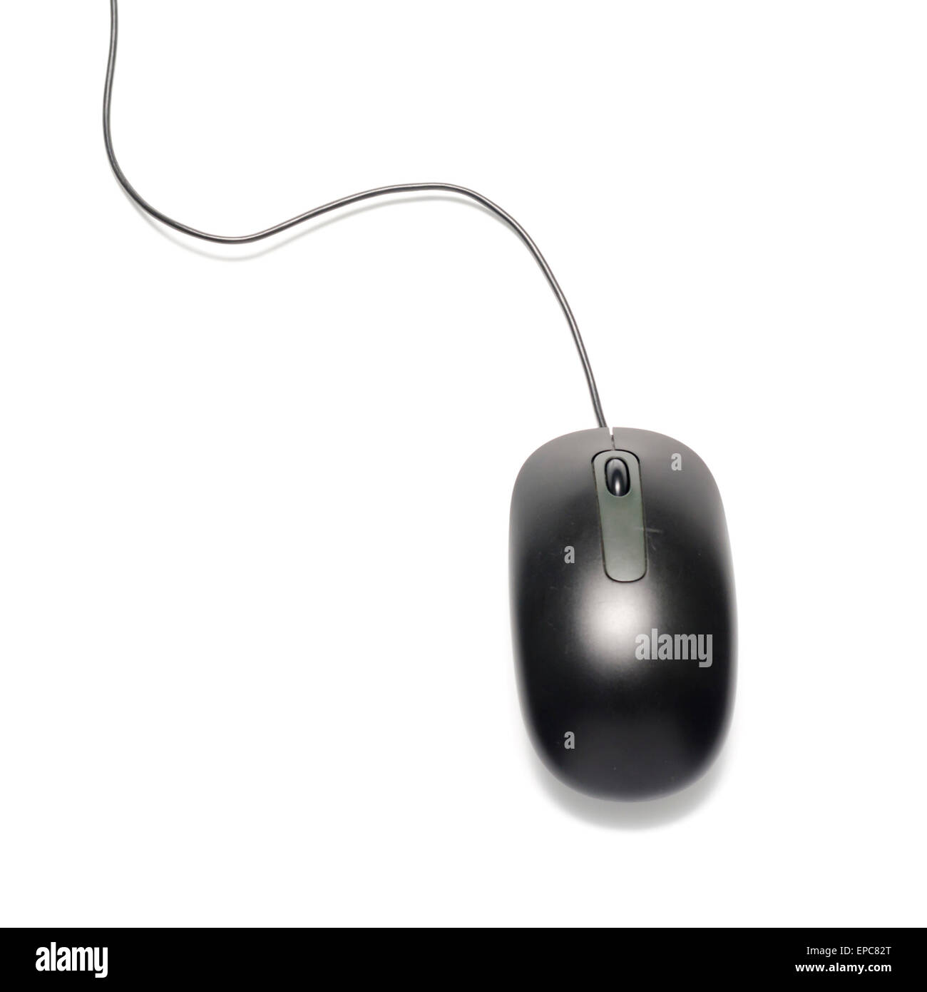 black computer mouse on a white background Stock Photo - Alamy