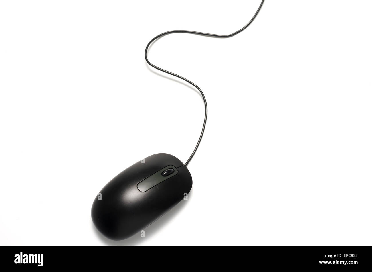 black computer mouse on a white background Stock Photo - Alamy