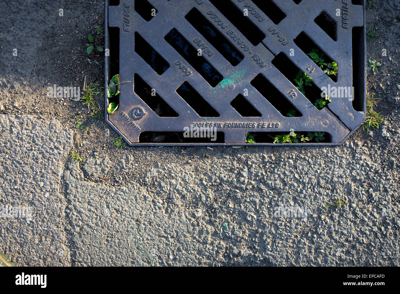 Asphalt road with green leaves in metal grill drain cover and evening ...