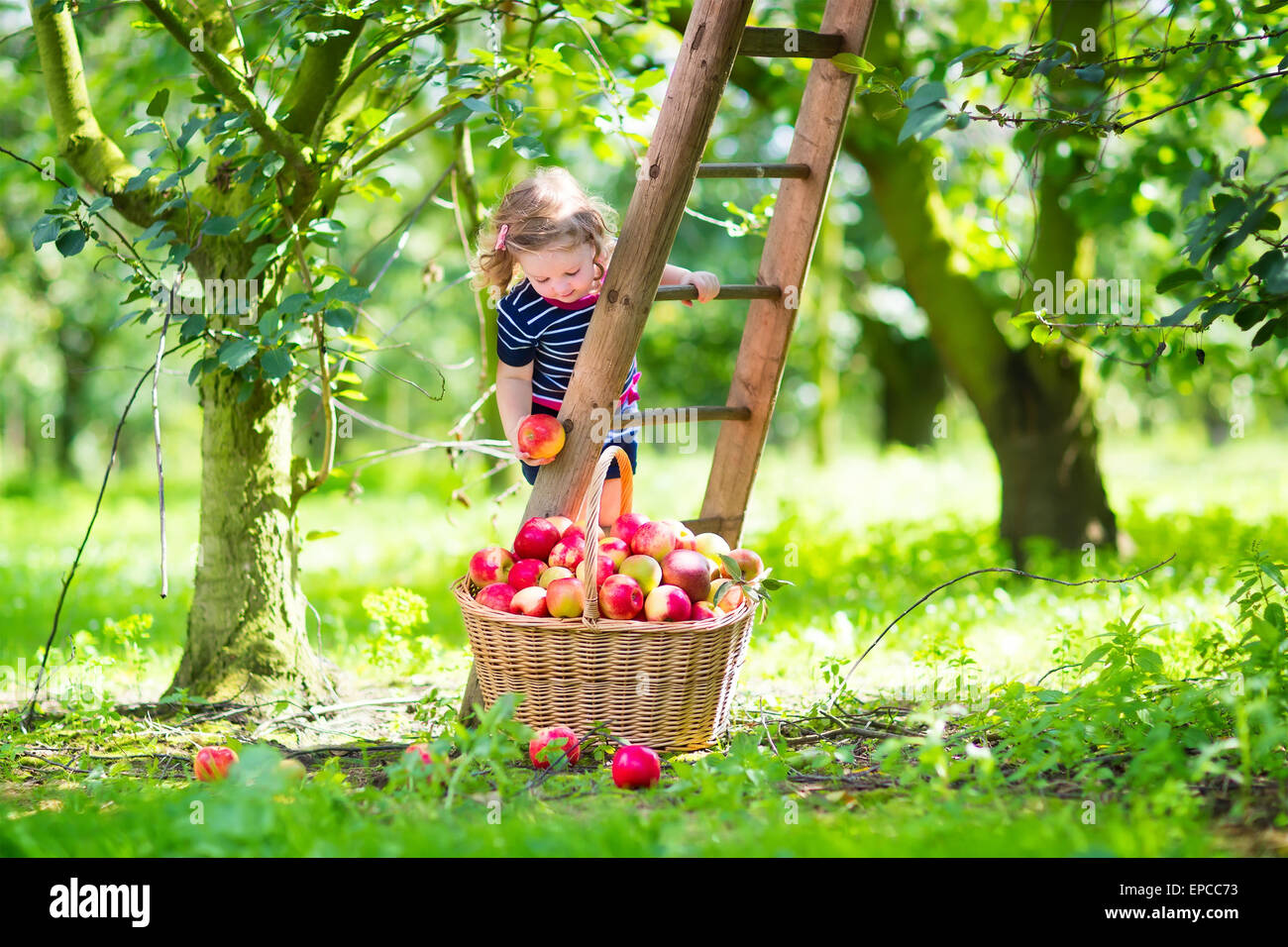Adorable little toddler girl with curly hair wearing a blue dress ...
