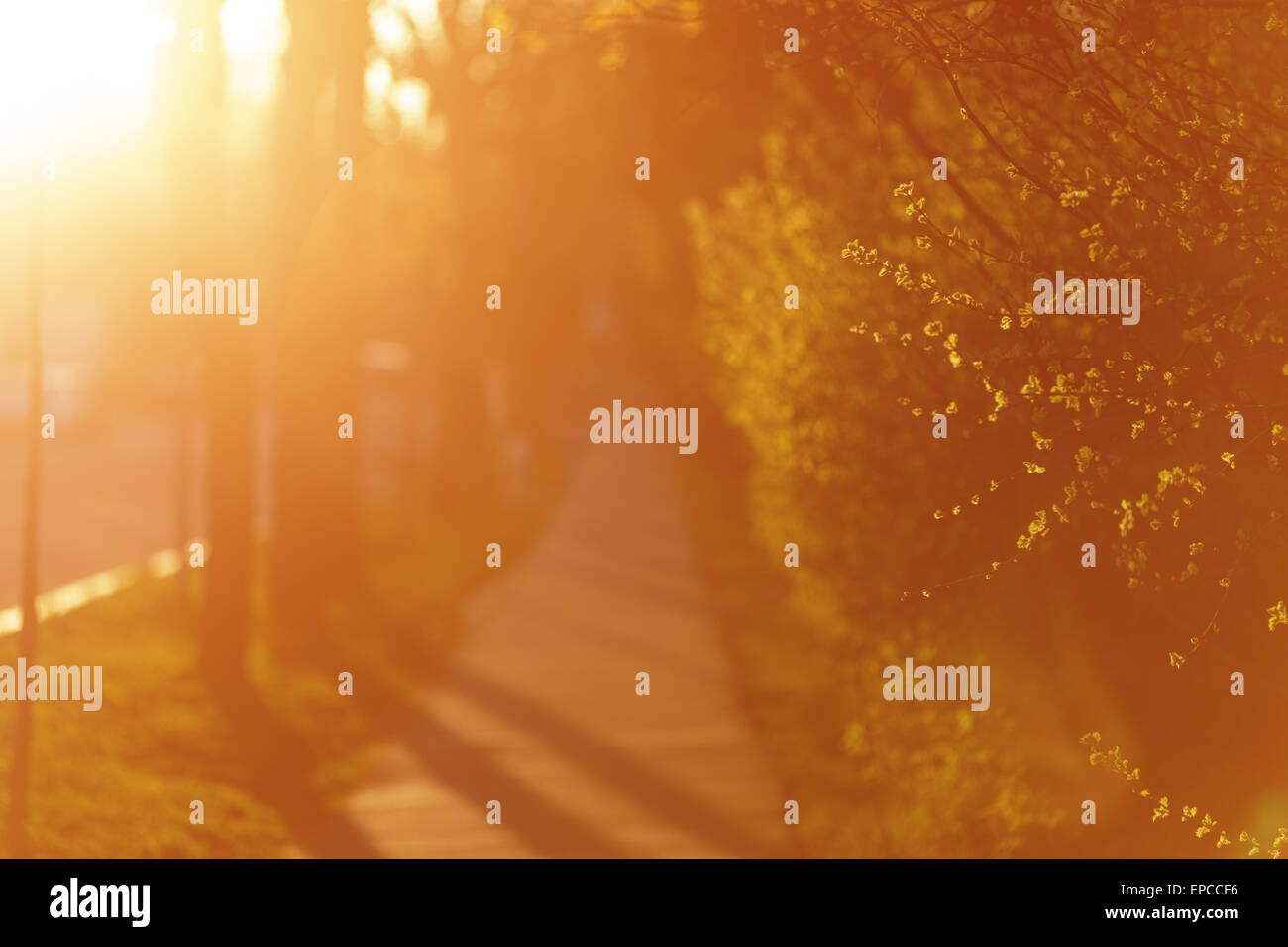 sidewalk in town with sunset light, shallow focus with copy space Stock ...