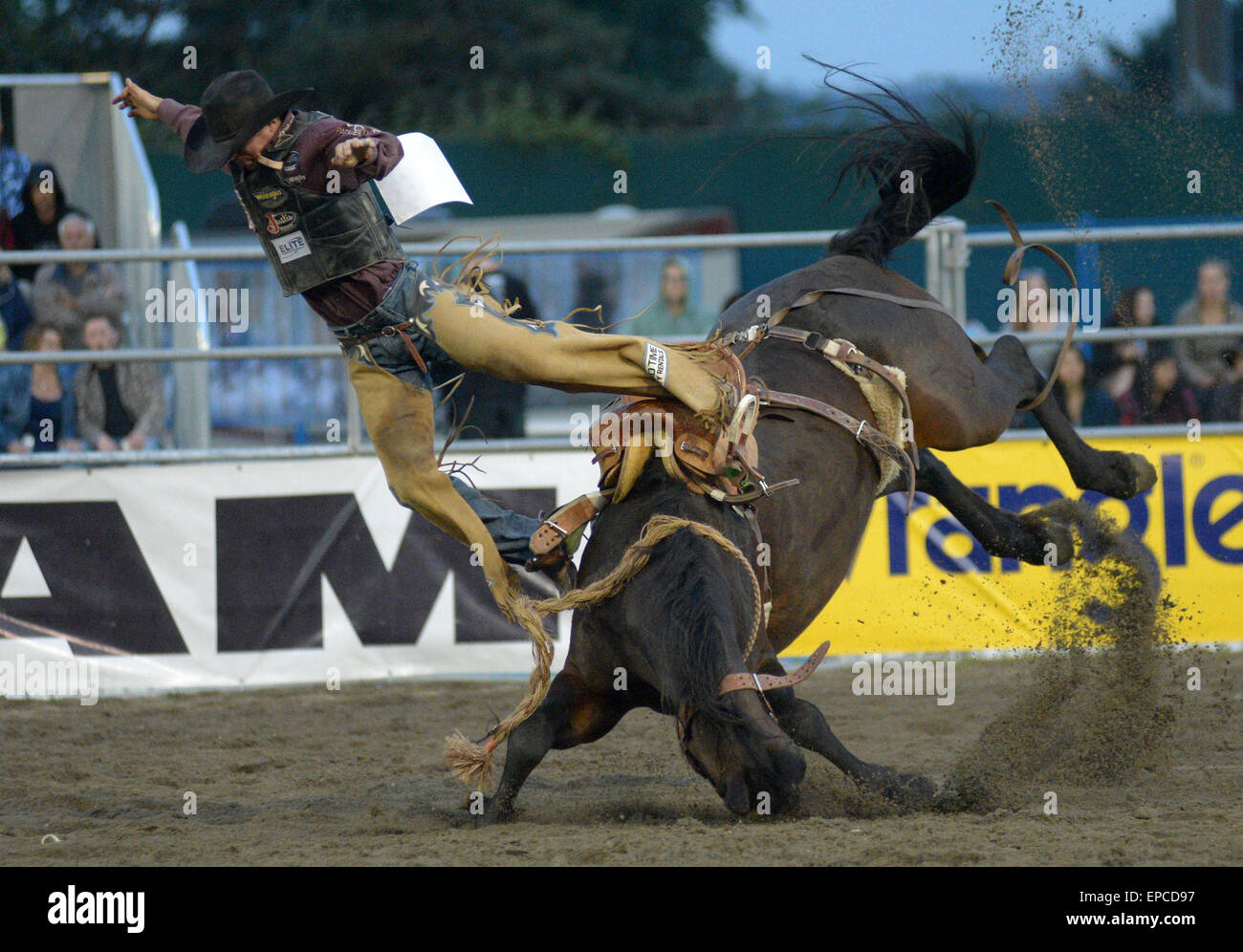 Cloverdale, Canada. 15th May, 2015. Cort Scheer of the United States ...