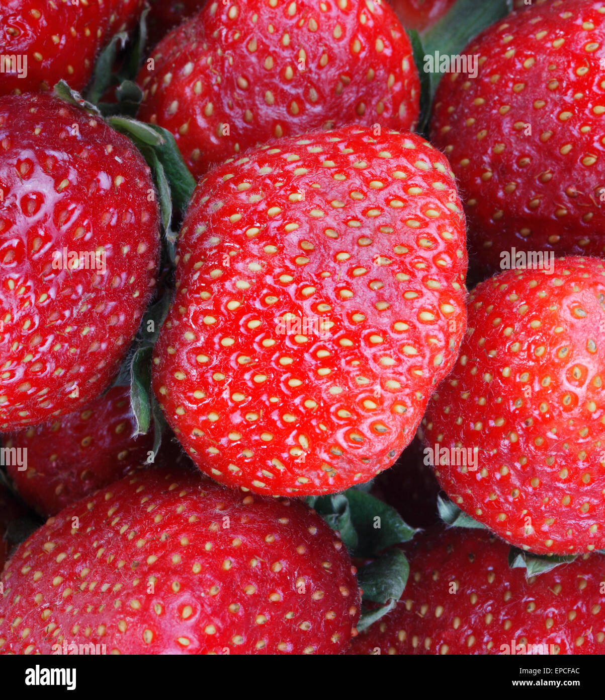 Many strawberry hi-res stock photography and images - Alamy