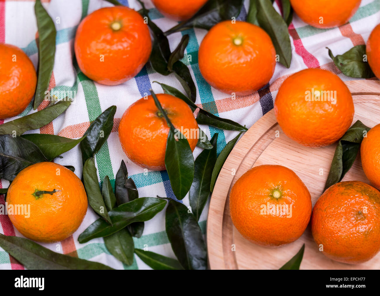 Bright tangerines hi-res stock photography and images - Alamy