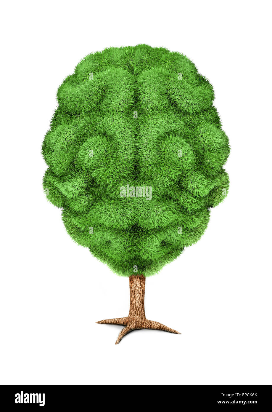 3D render of brain shaped tree Stock Photo - Alamy