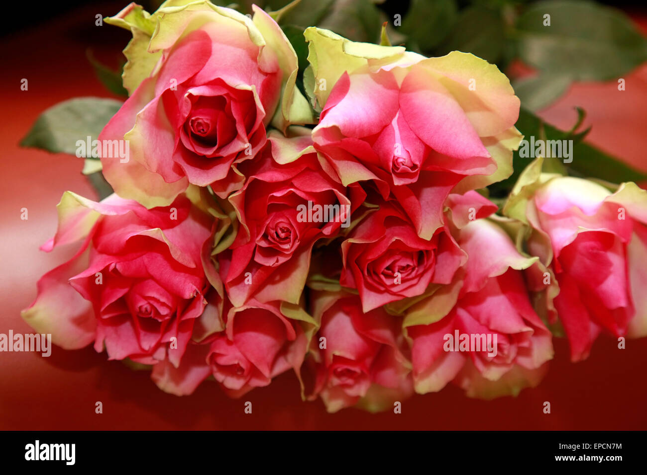Bouquet of fresh red roses close-up Stock Photo - Alamy